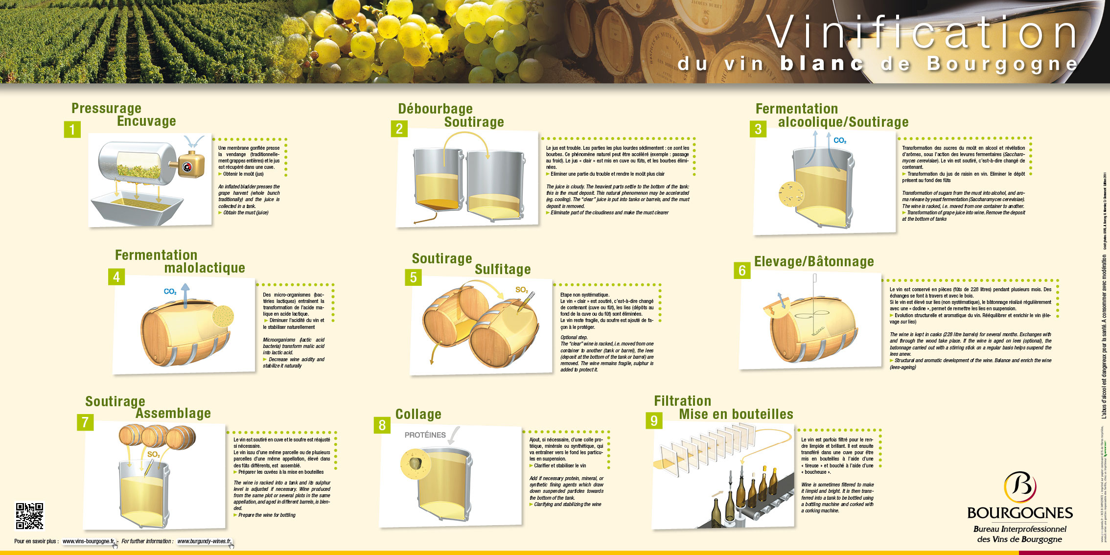 Vinification anglais