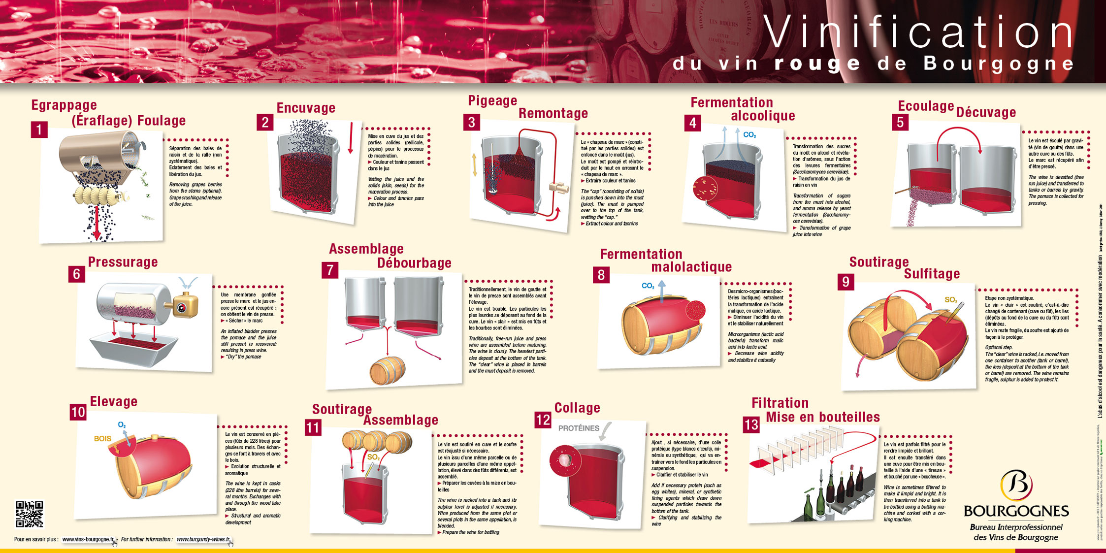 Vinification bourgogne