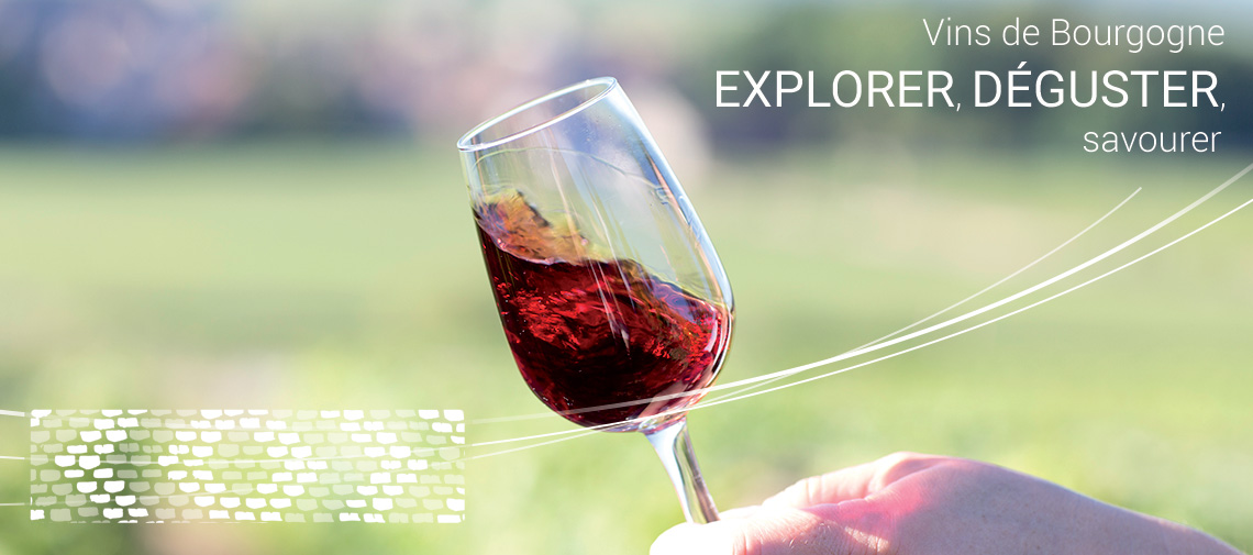 Vins de Bourgogne, le plus beau voyage aromatique - Vins de Bourgogne