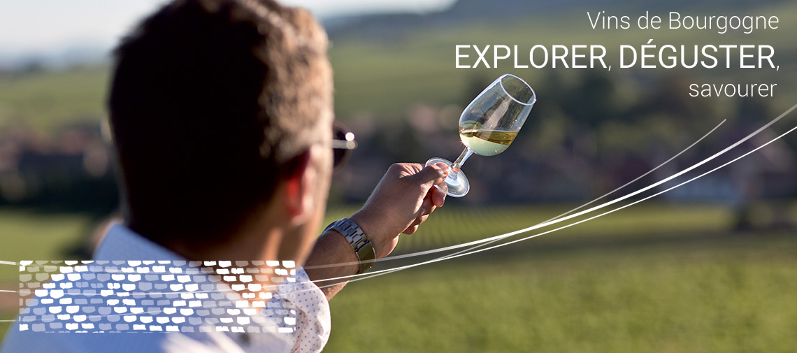 Vins de Bourgogne, le plus beau voyage aromatique - Vins de Bourgogne