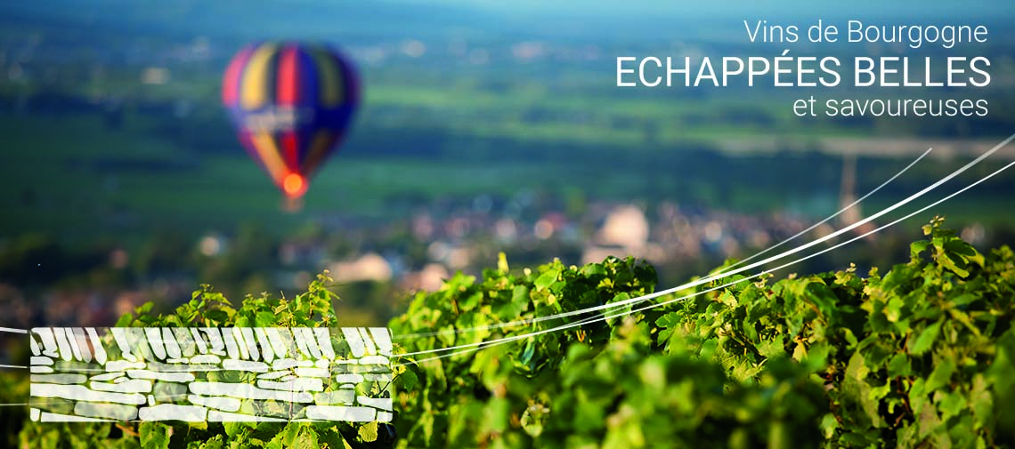 Vins de Bourgogne, le plus beau voyage aromatique - Vins de Bourgogne